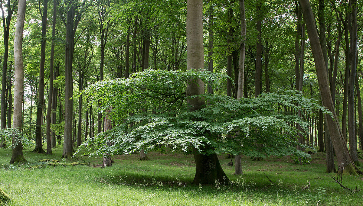 Referenzen - proECO Umweltplanung